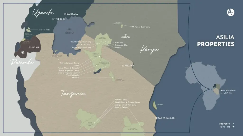 Masai Mara Vs Serengeti Safaris | How to Choose | Asilia Africa