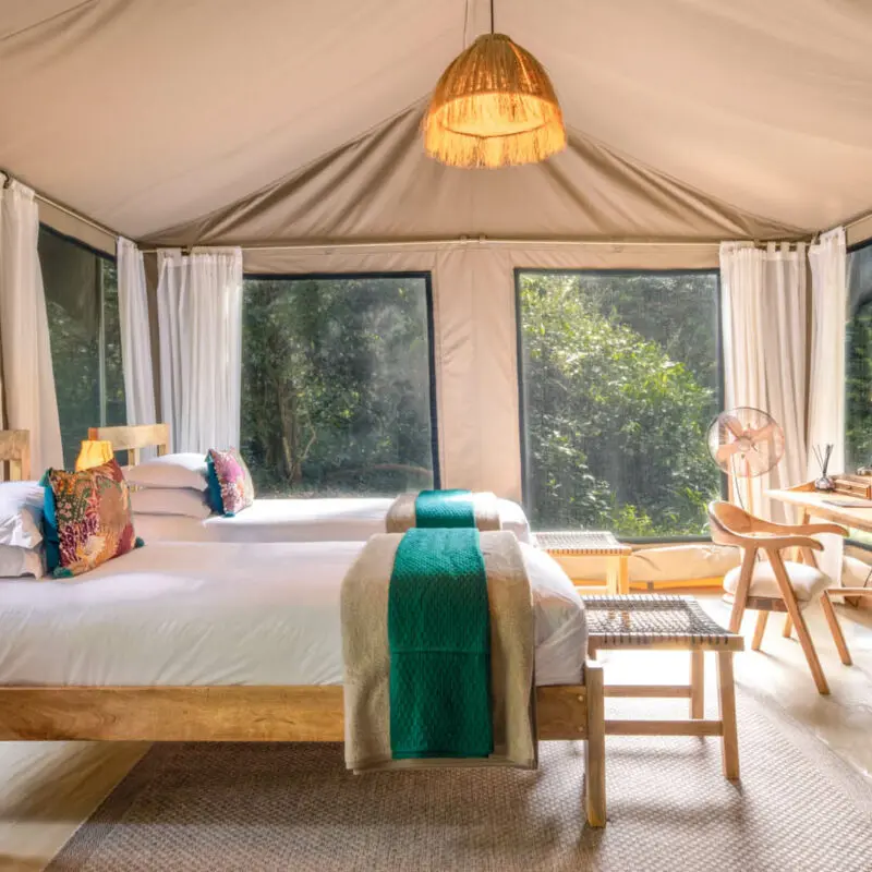 The Great Migration: What, When and Where? | Asilia Africa