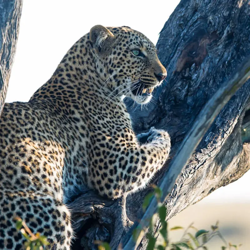 Top 9 Places to Visit in Kenya: Must-Visit Destinations | Asilia