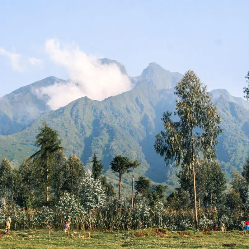 The Top Places to Visit in Rwanda | Asilia Africa