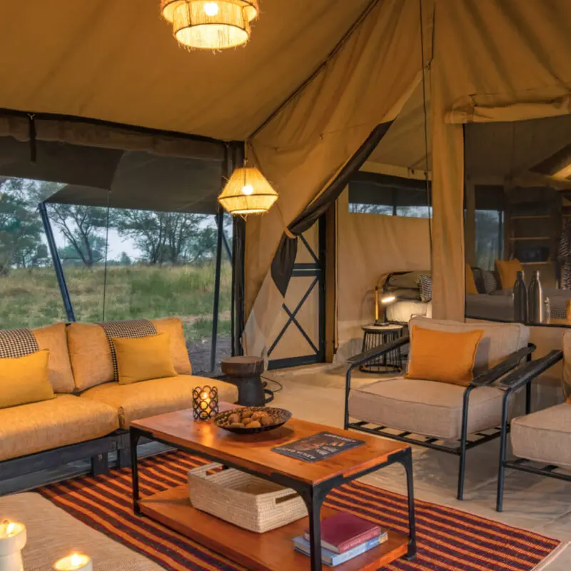 The Great Migration: What, When and Where? | Asilia Africa