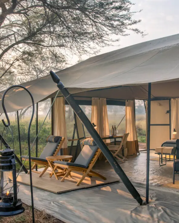 The Great Migration: What, When and Where? | Asilia Africa