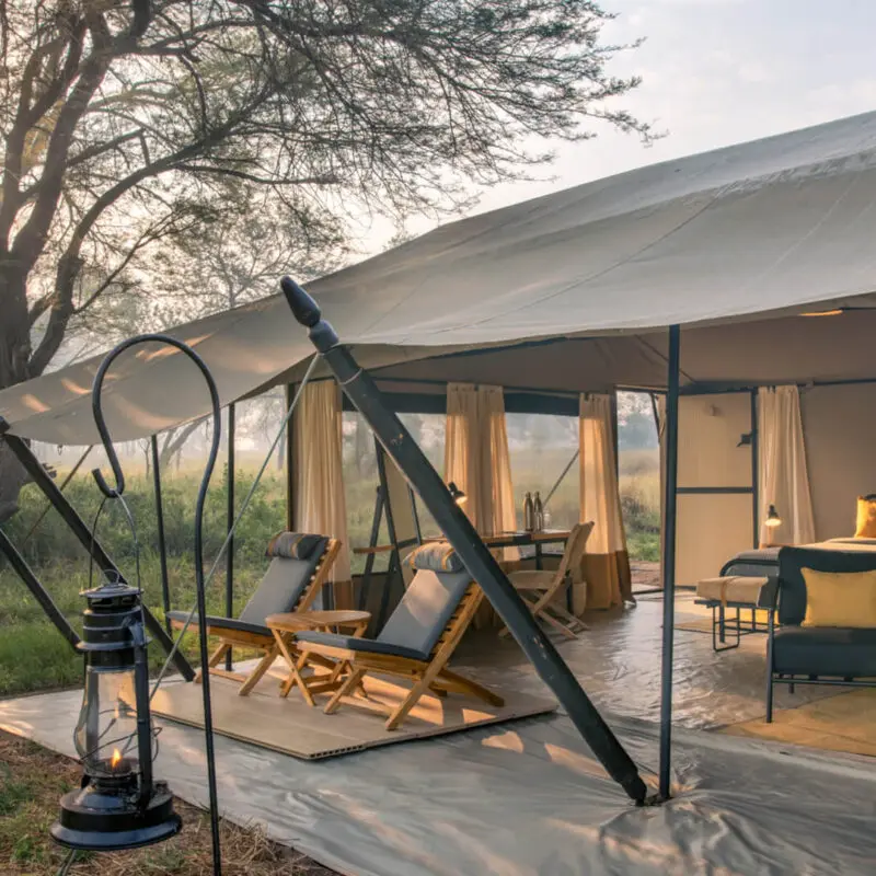 The Great Migration: What, When and Where? | Asilia Africa