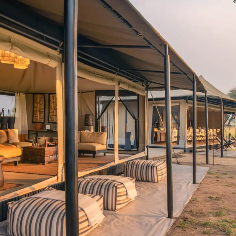 The Great Migration: What, When and Where? | Asilia Africa