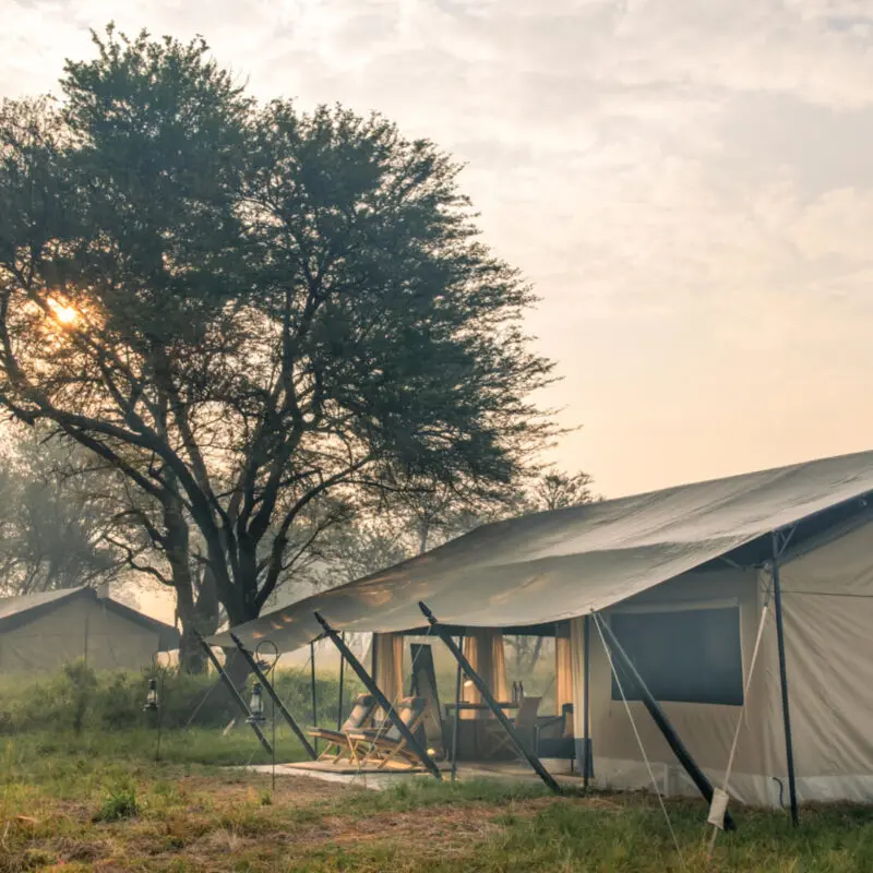 The Great Migration: What, When and Where? | Asilia Africa