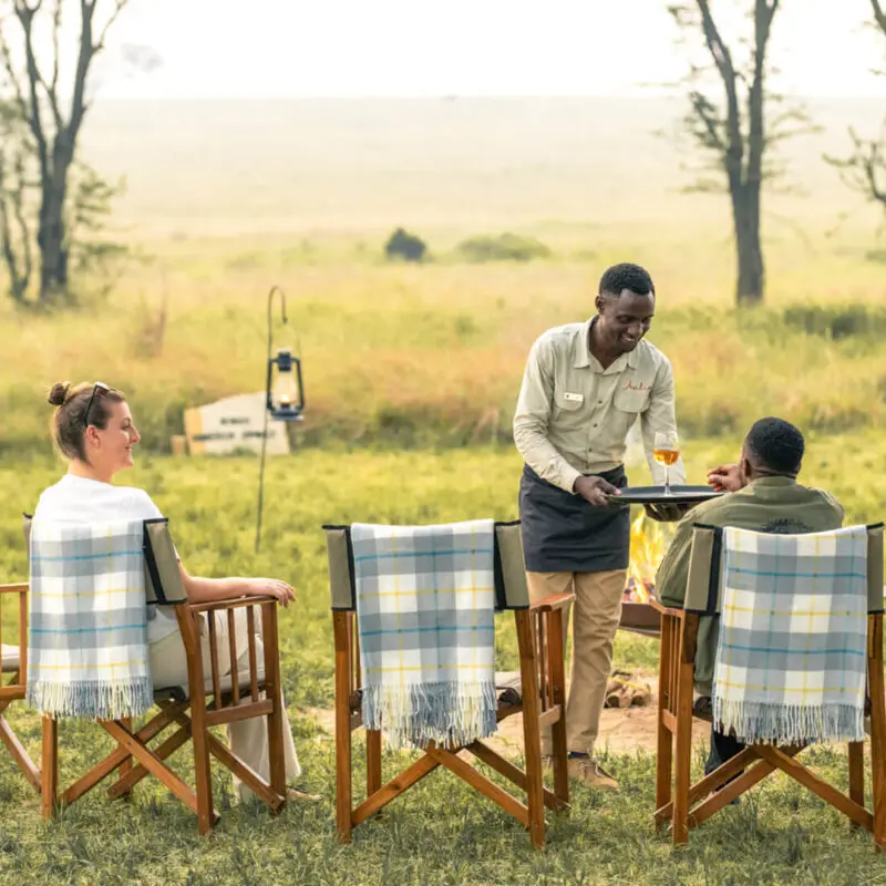 The Great Migration: What, When and Where? | Asilia Africa