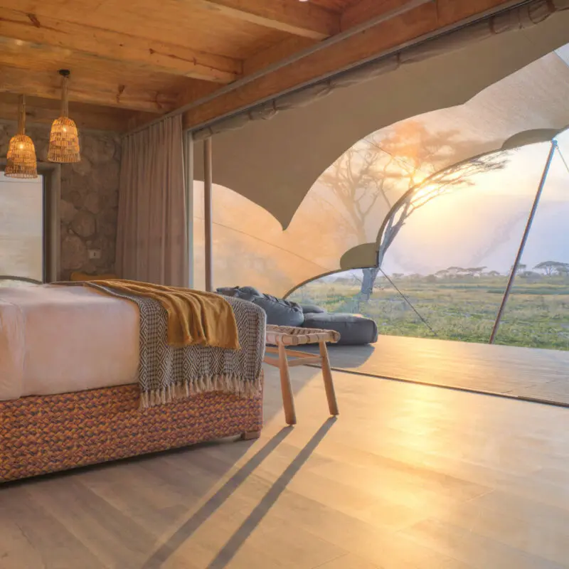 The Great Migration: What, When and Where? | Asilia Africa