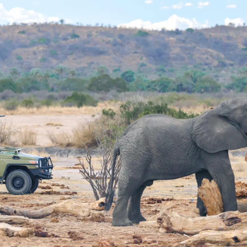 Jabali Ridge | Ruaha Safari | Tanzania | Asilia Africa
