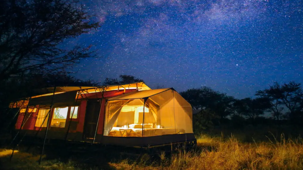 The Ultimate Safari Experience: Asilia’s Migration Camps