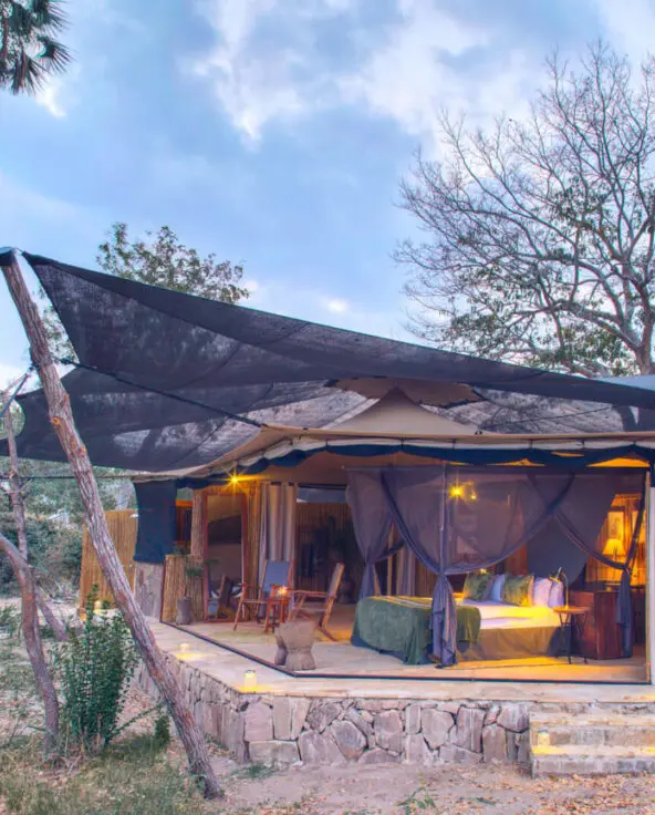 Jabali Ridge | Ruaha Safari | Tanzania | Asilia Africa