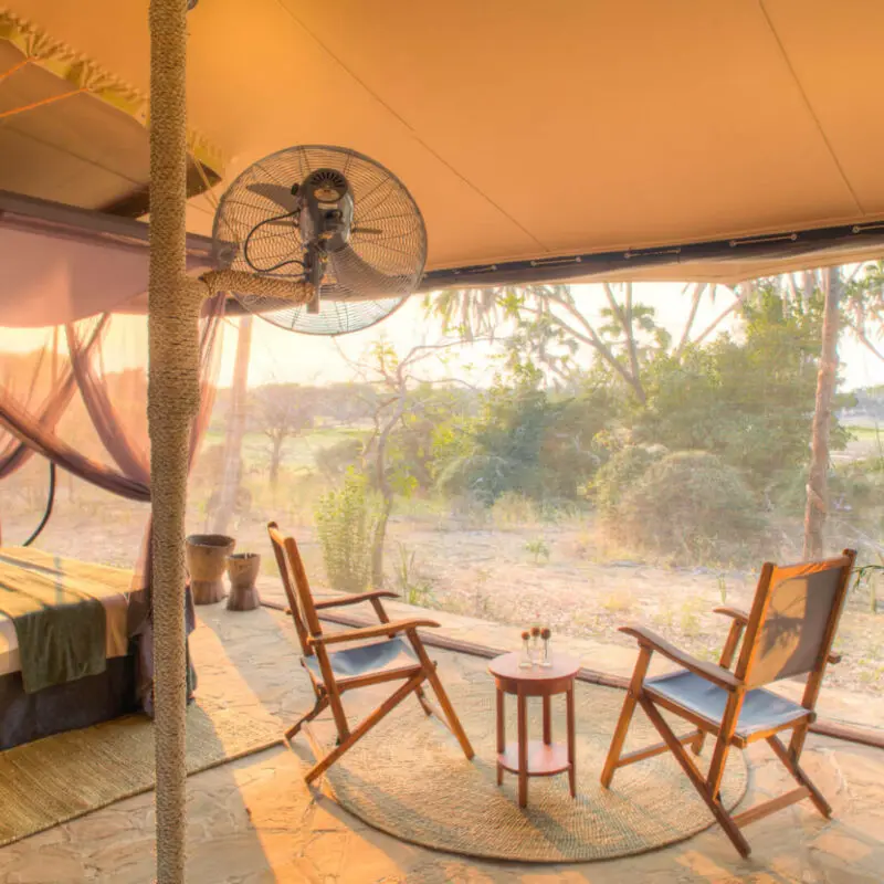 Why Go on a Nyerere (Selous) National Park Safari | Asilia