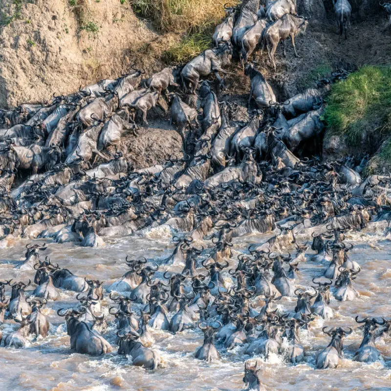 Ubuntu Migration Camp in Tanzania's Serengeti | Asilia Africa