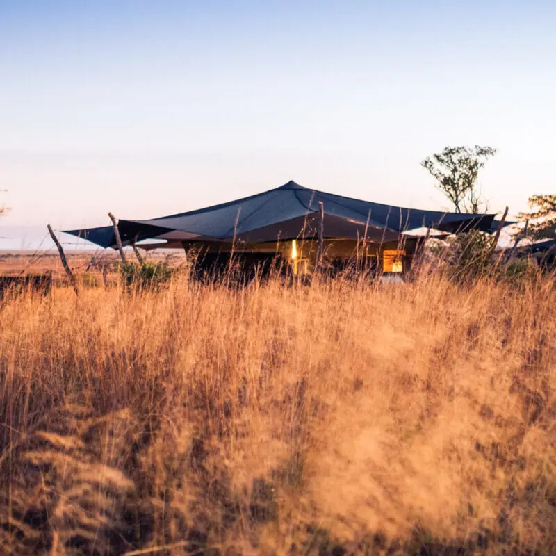 Jabali Ridge | Ruaha Safari | Tanzania | Asilia Africa
