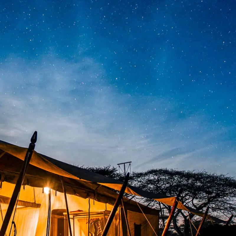 Classic African Tent Safaris with Asilia Africa