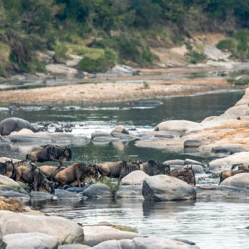 When to Visit Tanzania: Monthly Guide for Safari & Travel | Asilia Africa