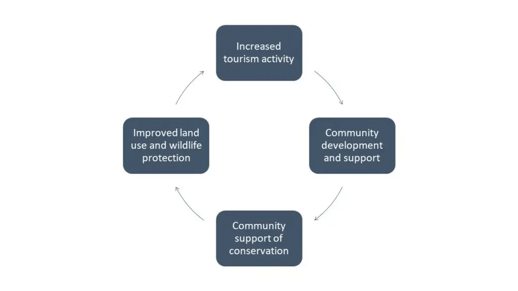 Positive Impact | Community upliftment & conservation