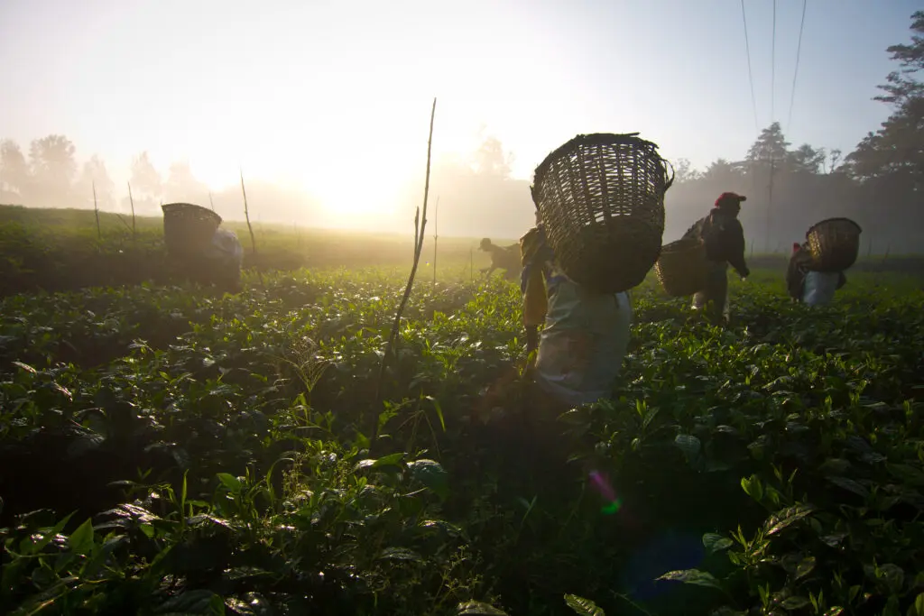 Photos of East African landscapes | Asilia Africa