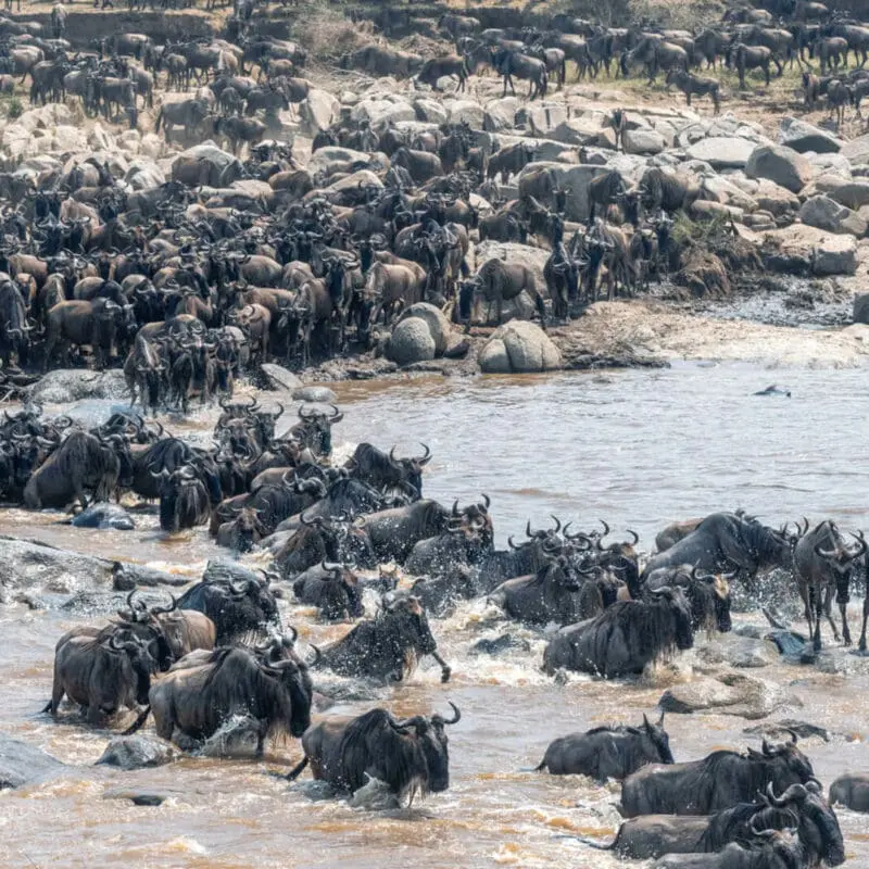 Northern Tanzania Safaris | Tanzania’s Northern Safari Circuit
