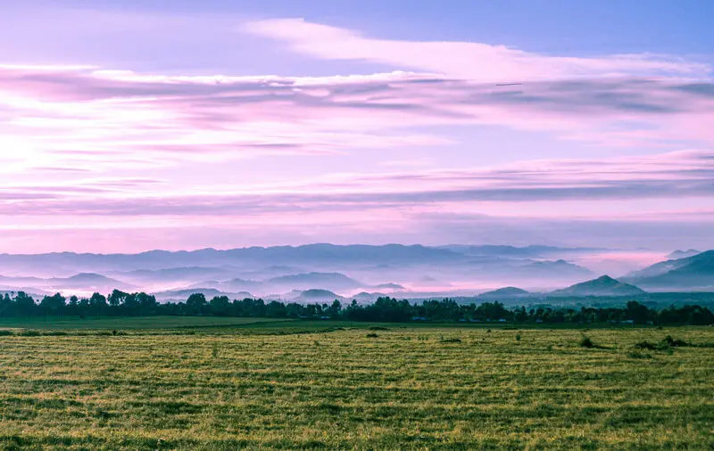 Best time to visit Rwanda for Gorillas & Safari | Asilia Africa