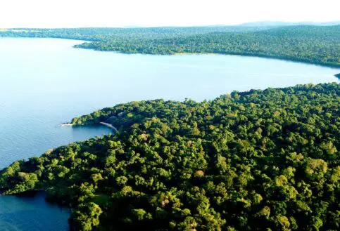 Rubondo Island National Park, Tanzania Safari | Asilia Africa