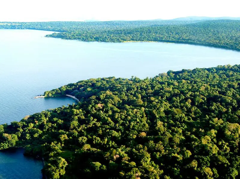 Rubondo Island National Park, Tanzania Safari | Asilia Africa