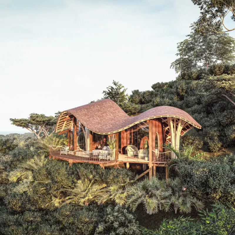 Kibale National Park Safari | Asilia Africa