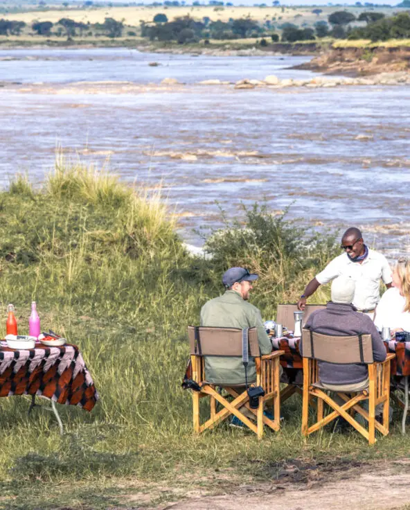 The Great Migration: What, When and Where? | Asilia Africa