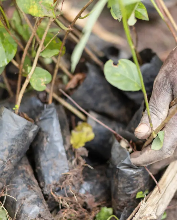 Kibale National Park Safari | Asilia Africa