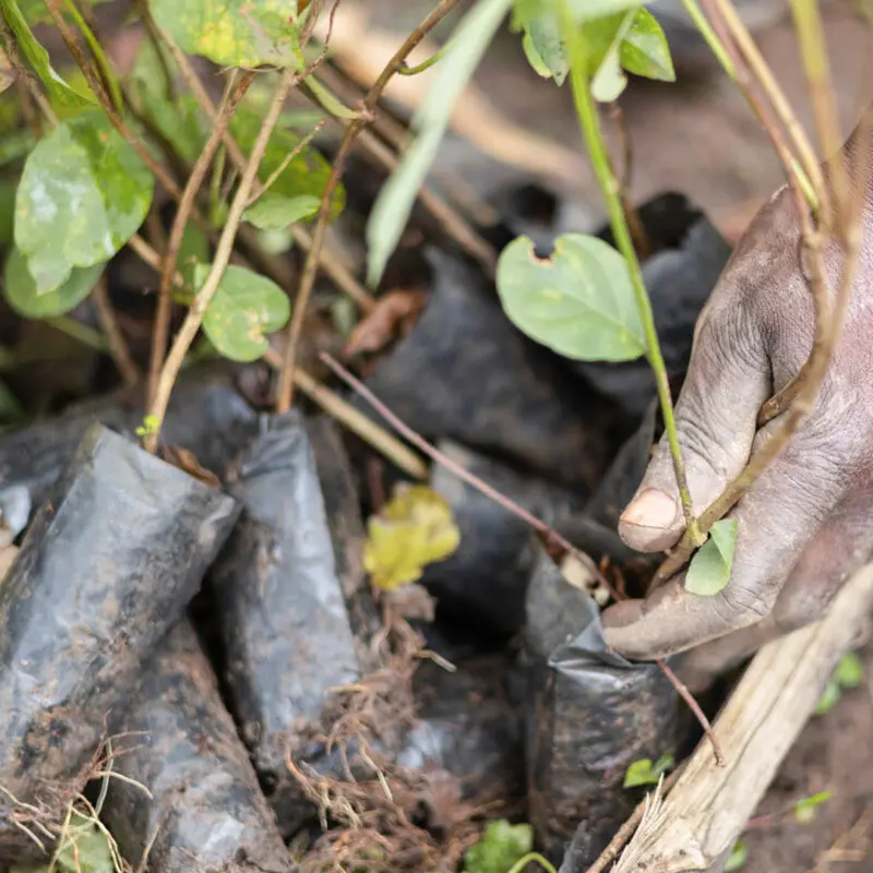 Kibale National Park Safari | Asilia Africa