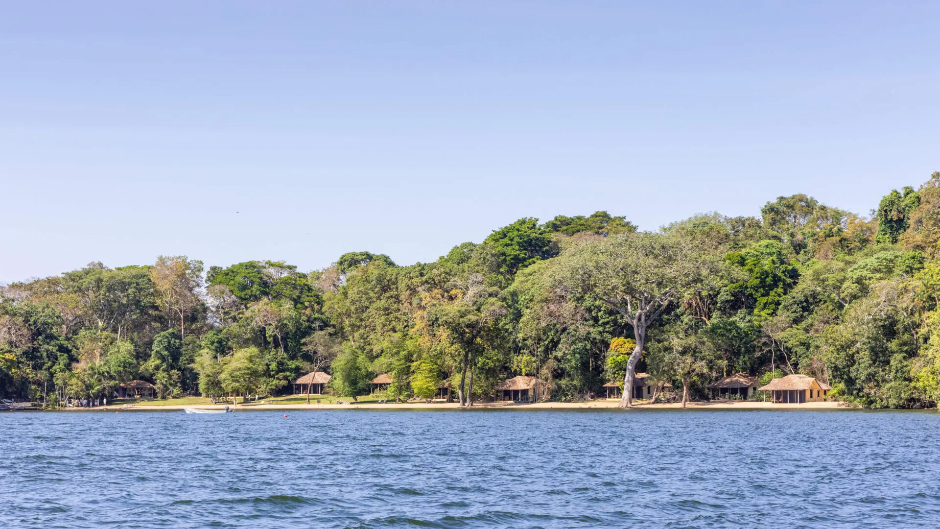 Rubondo Island National Park, Tanzania Safari | Asilia Africa