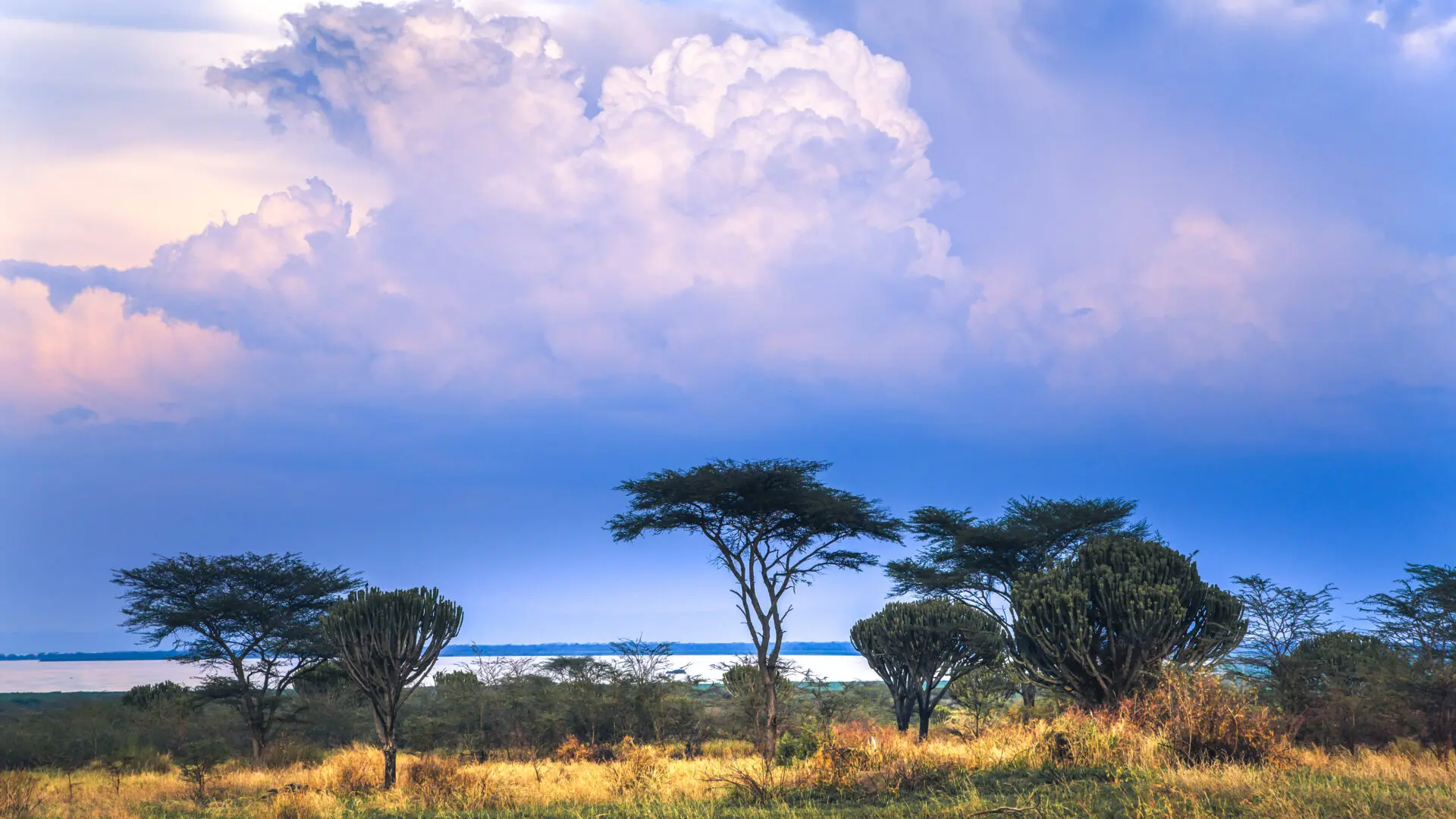 Queen Elizabeth National Park Safari | Asilia Africa