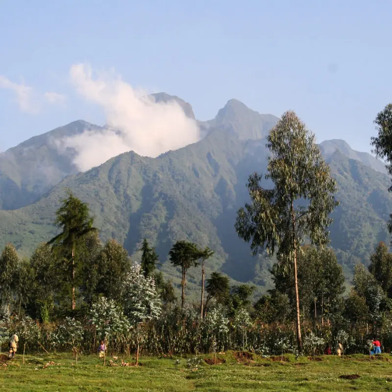 The Top Places to Visit in Rwanda | Asilia Africa
