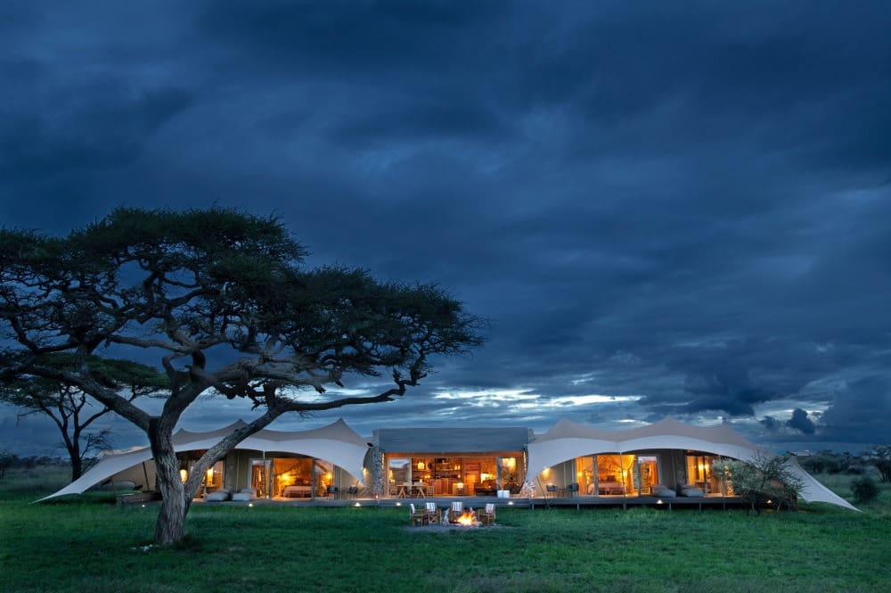 Asilia Africa Include Asilia In Your Safari Safaris And Expeditions