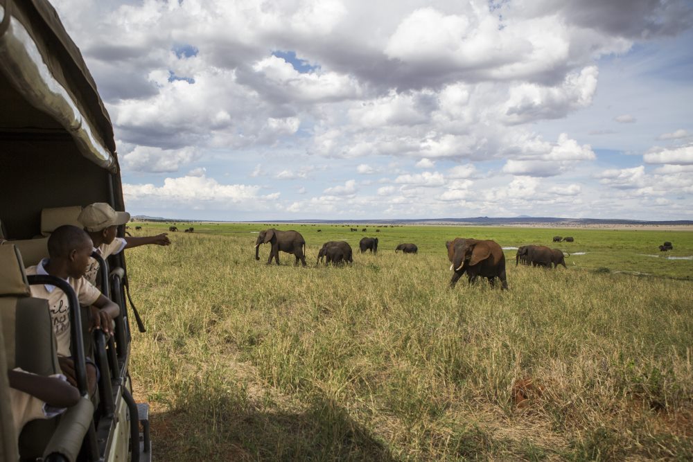 Achieving success in Kwakuchinja