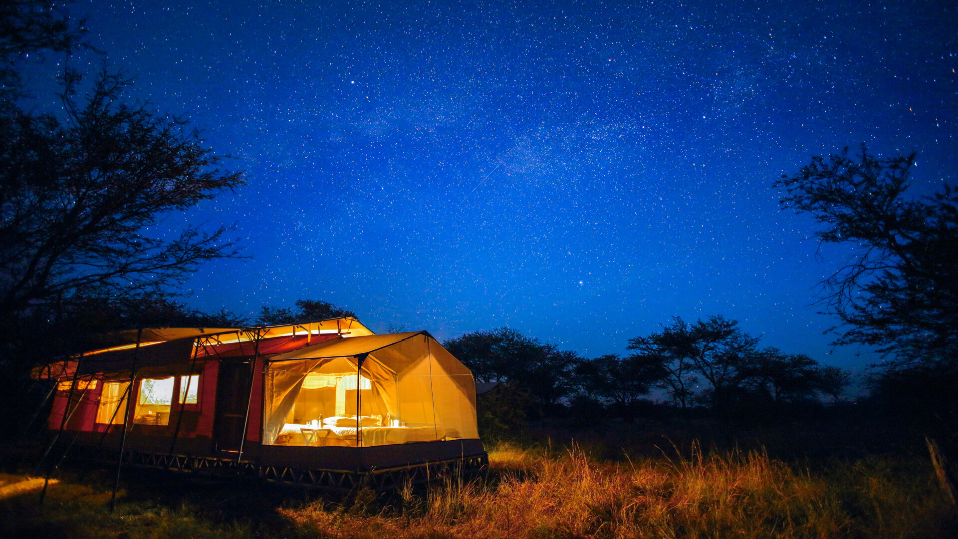 Sleep under the African stars | Stargazing Tent Safaris | Asilia