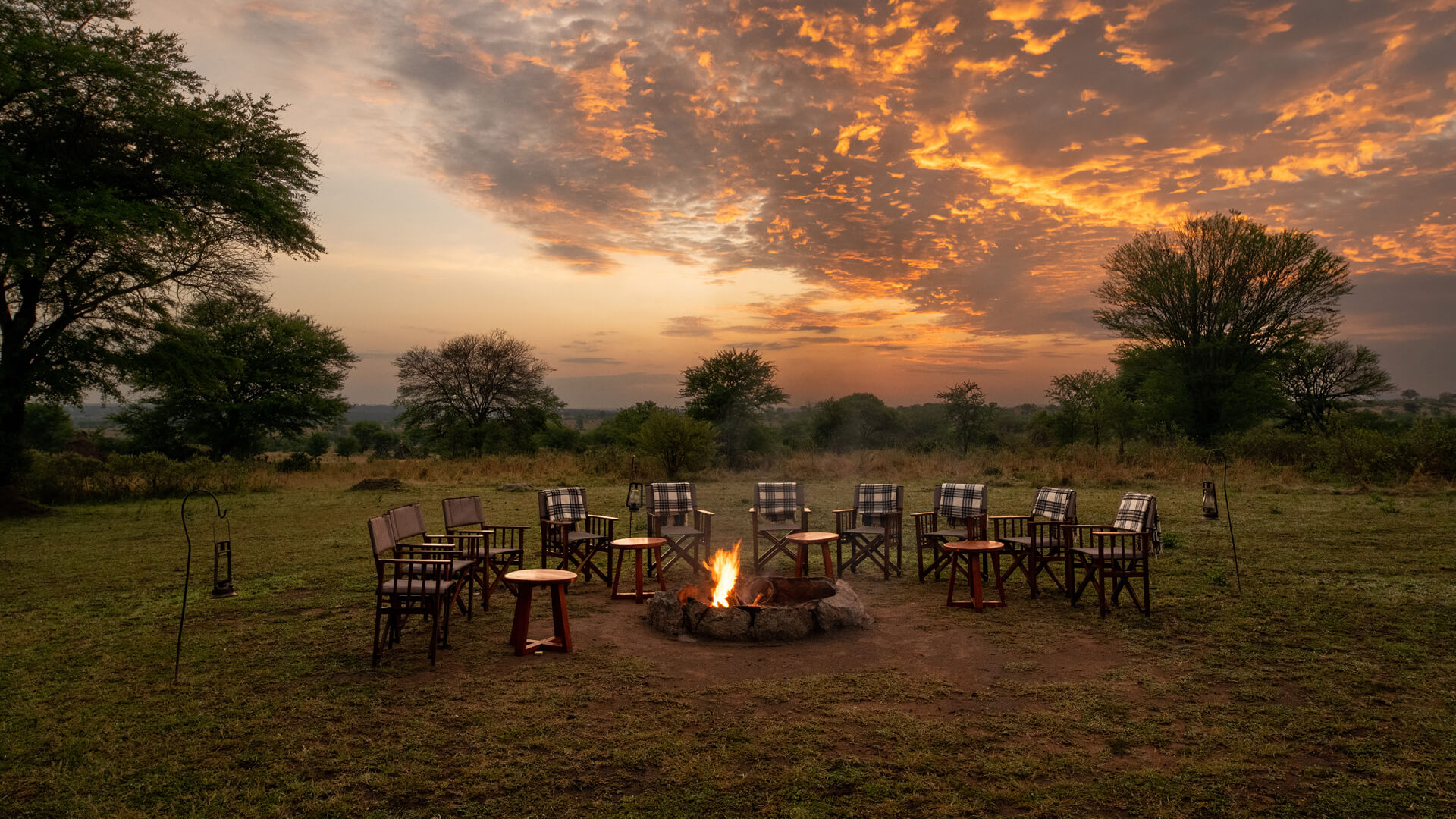 All Asilia | Asilia Africa