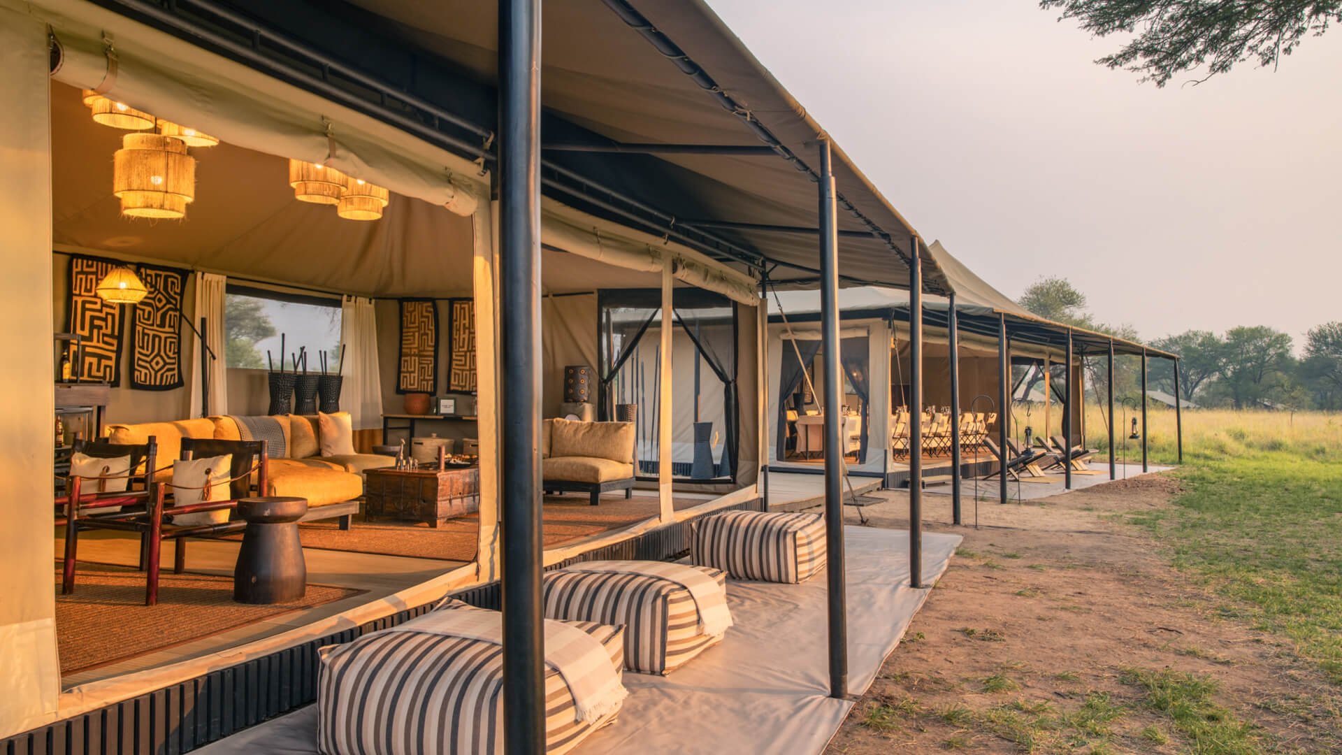 Top 5 Animal Migrations to Witness in East Africa | Asilia Africa