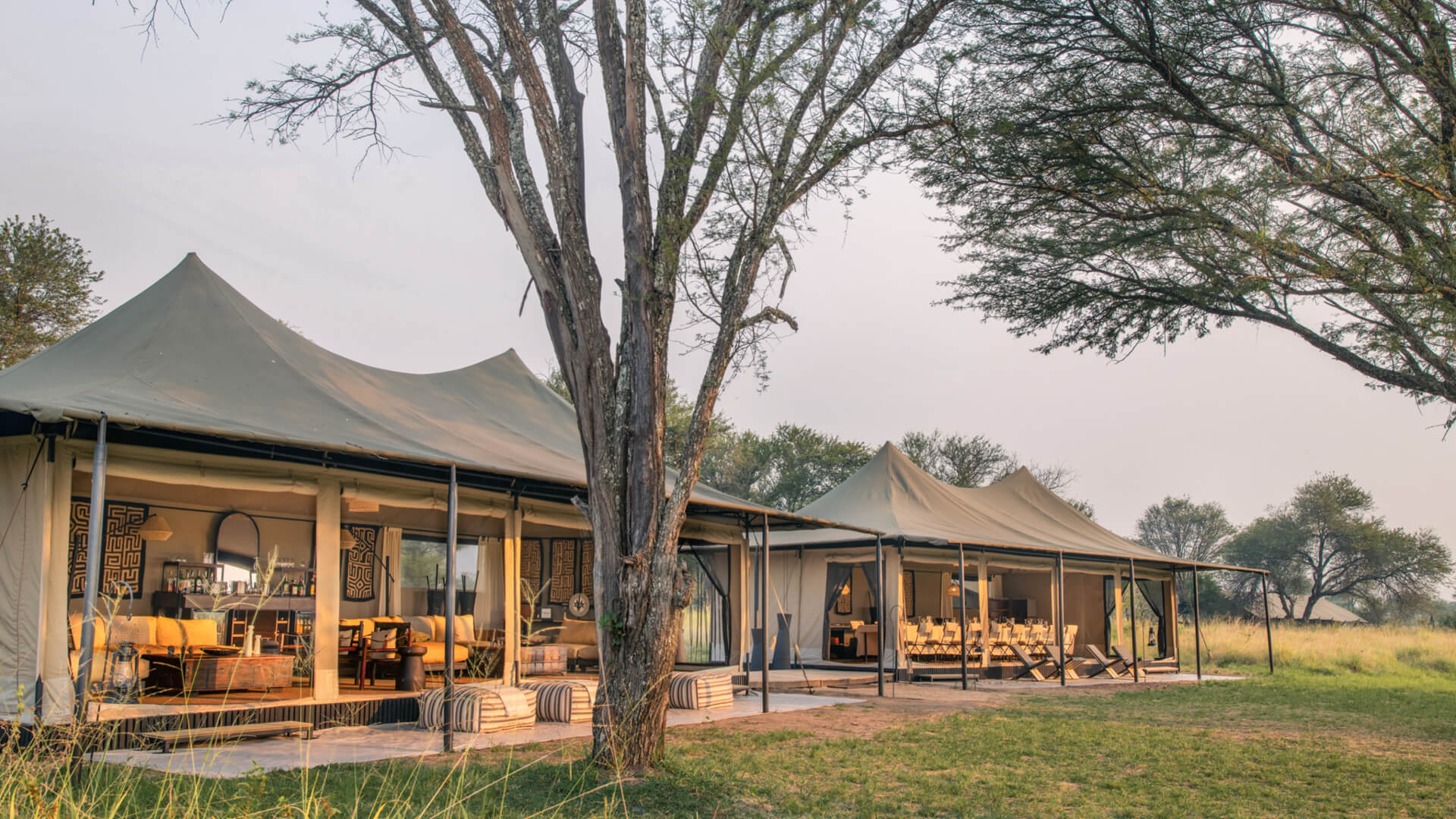 The Ultimate Safari Experience: Asilia’s Migration Camps