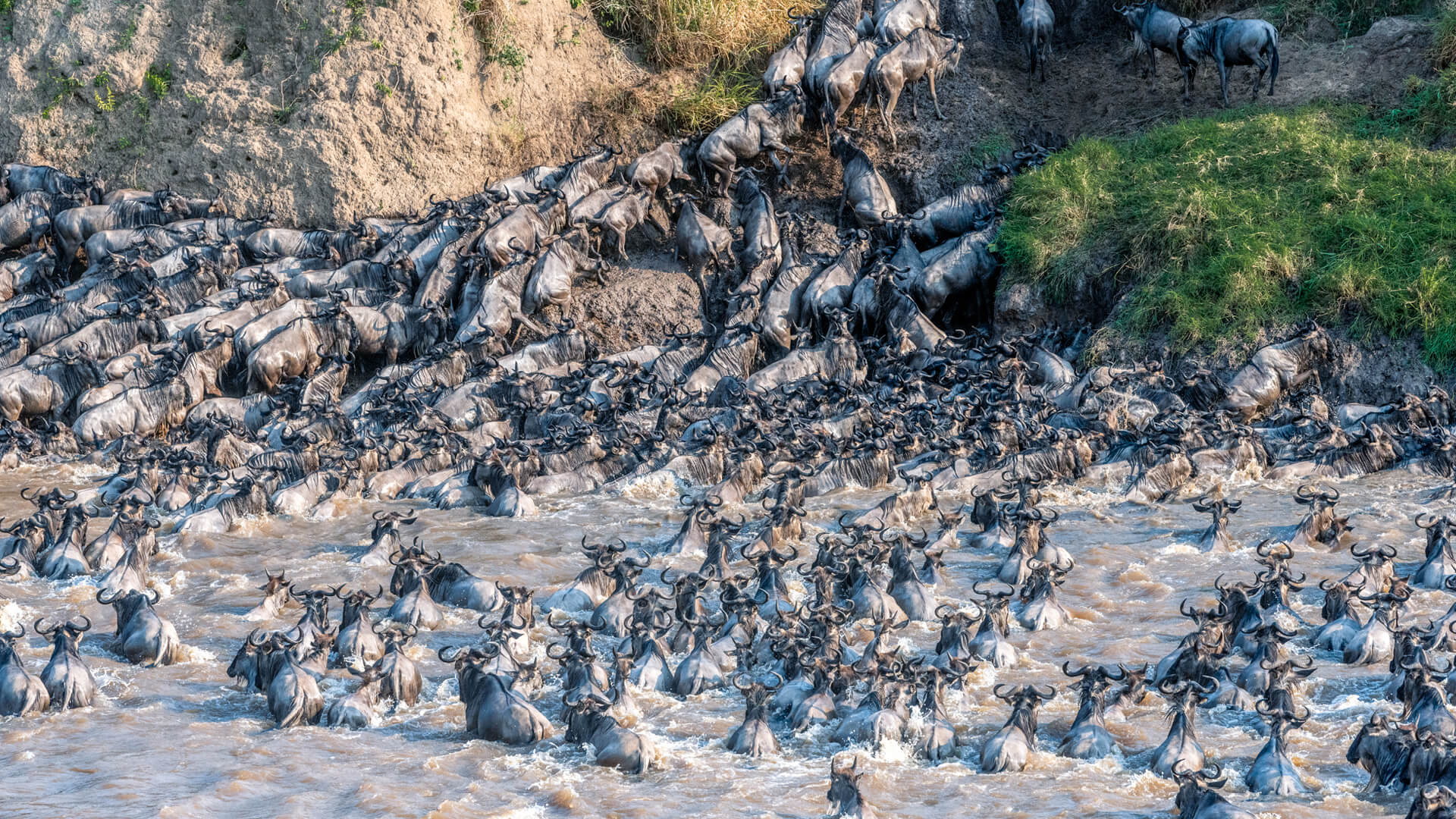 Ubuntu Migration Camp in Tanzania's Serengeti | Asilia Africa