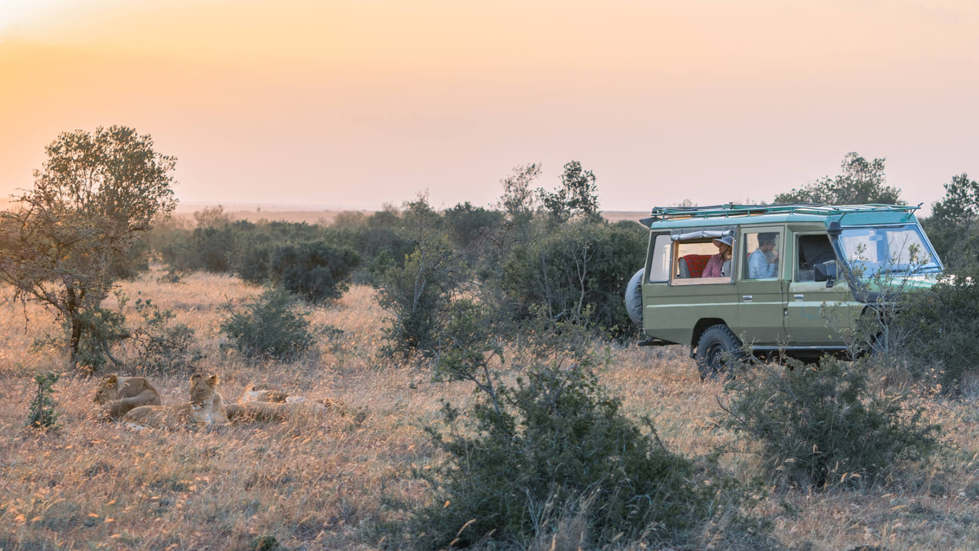 Ol Pejeta Conservancy, Kenya | Asilia Africa
