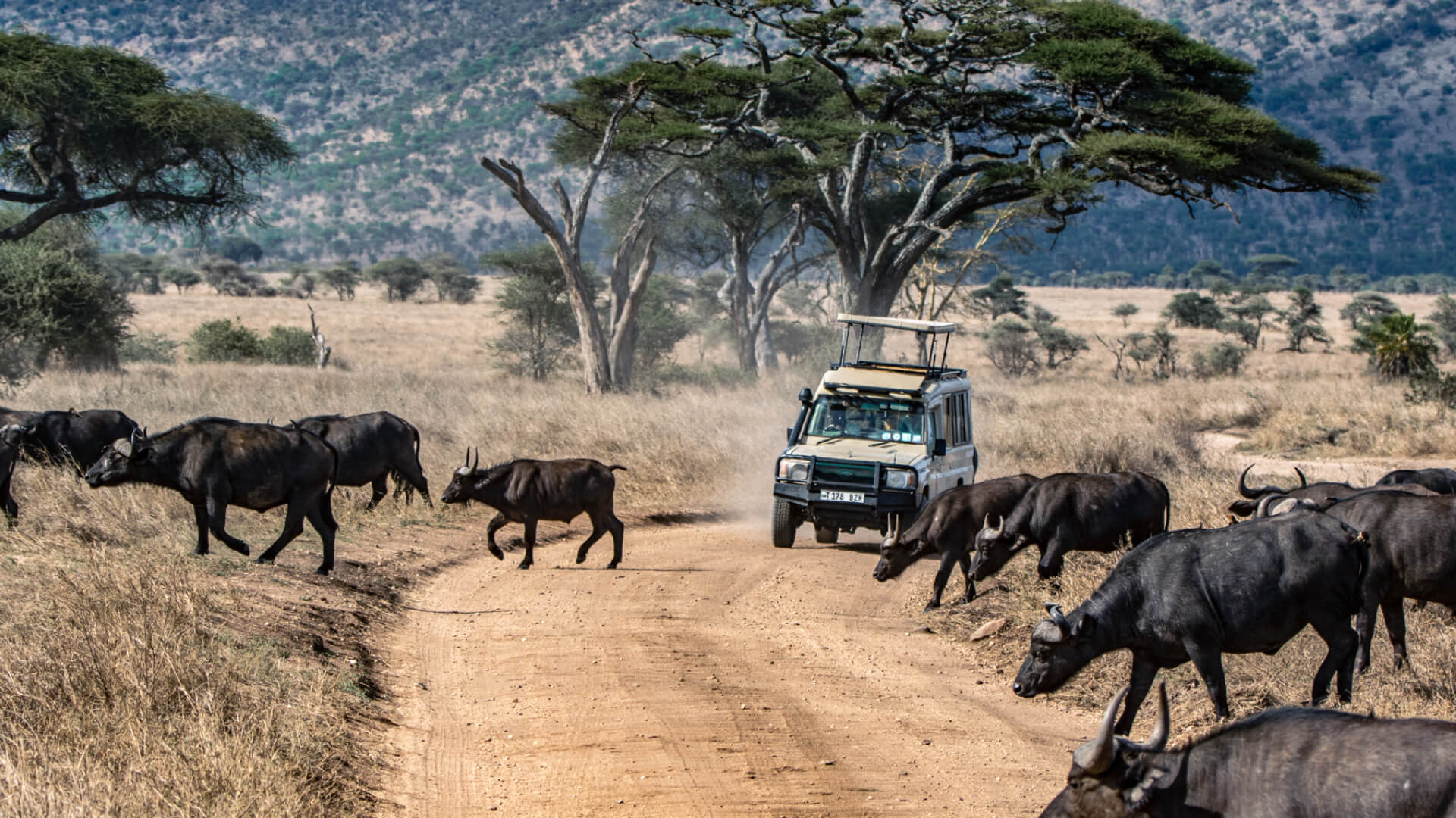 Road Safaris | Asilia Africa