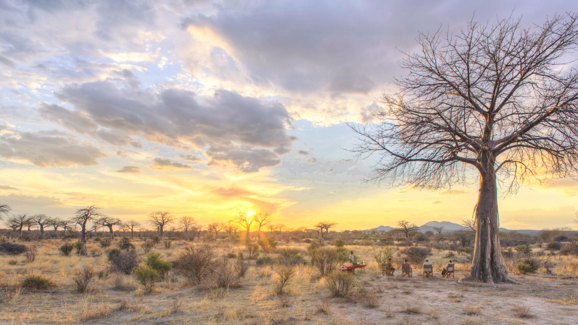 Best Time to Visit Ruaha National Park: A Safari Guide | Asilia