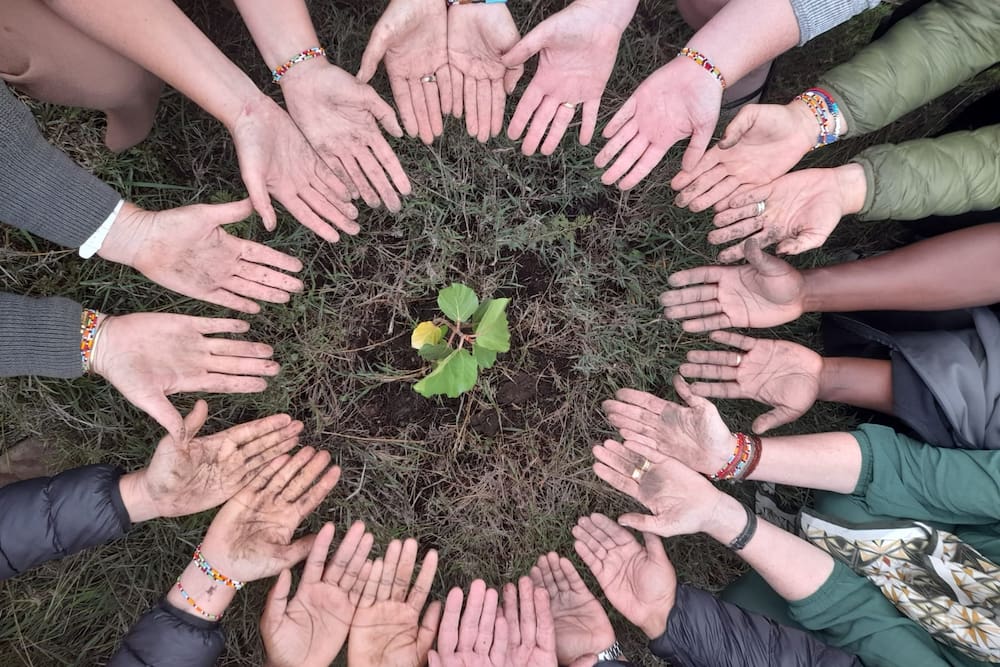 Tree Planting in Naboisho | Asilia Africa