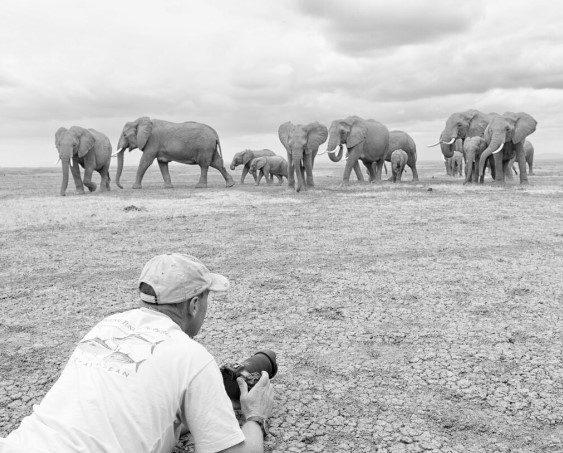 Just Add Water | Asilia Africa