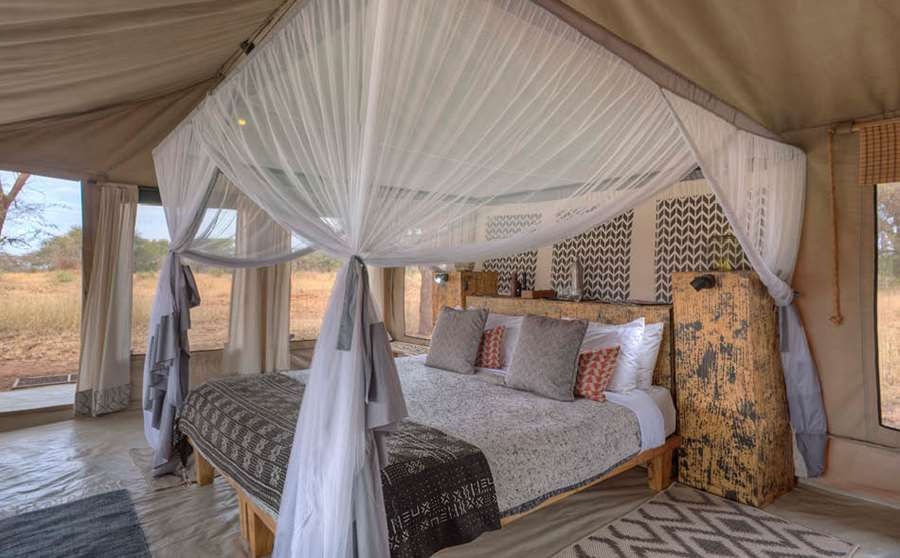 Great Migration River Crossings: Wildebeest & More | Asilia