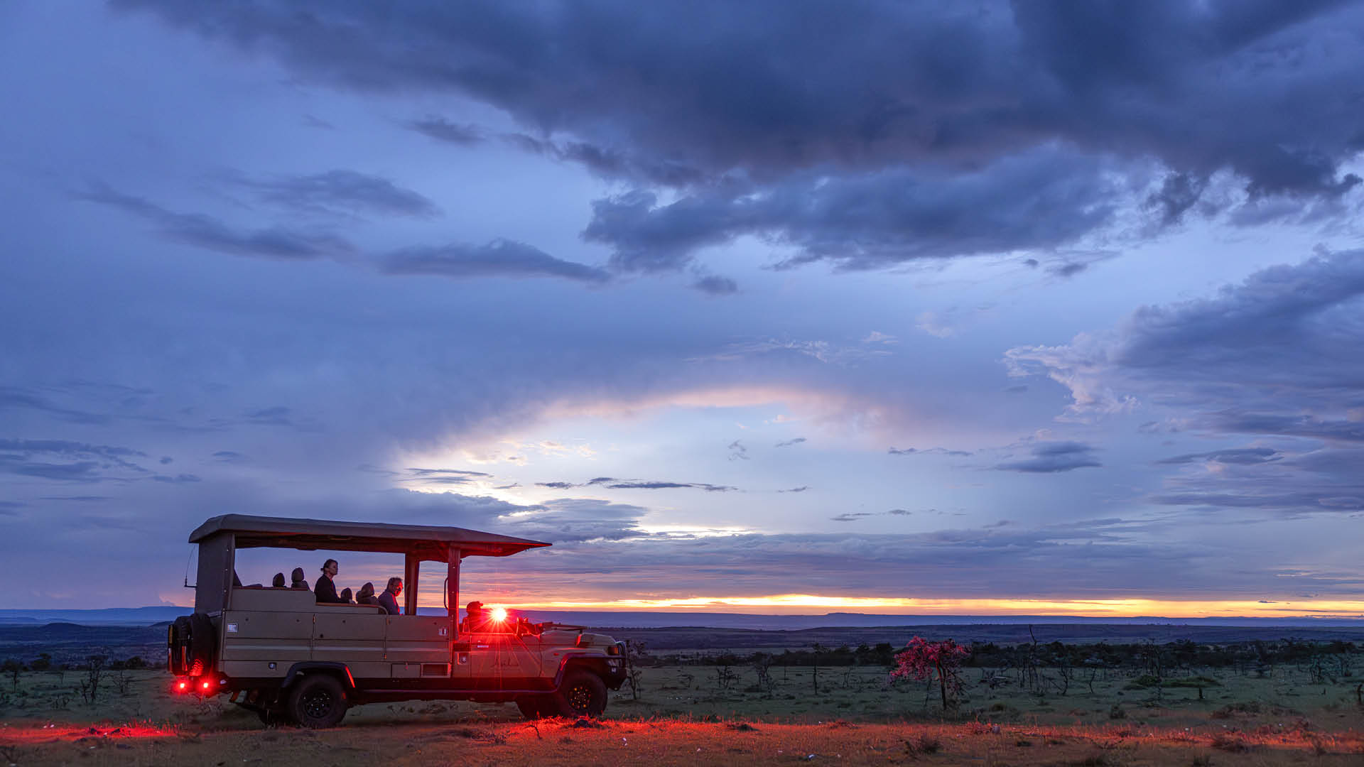 The Most Thrilling Wildlife You Might Spot on a Night Game Drive ...