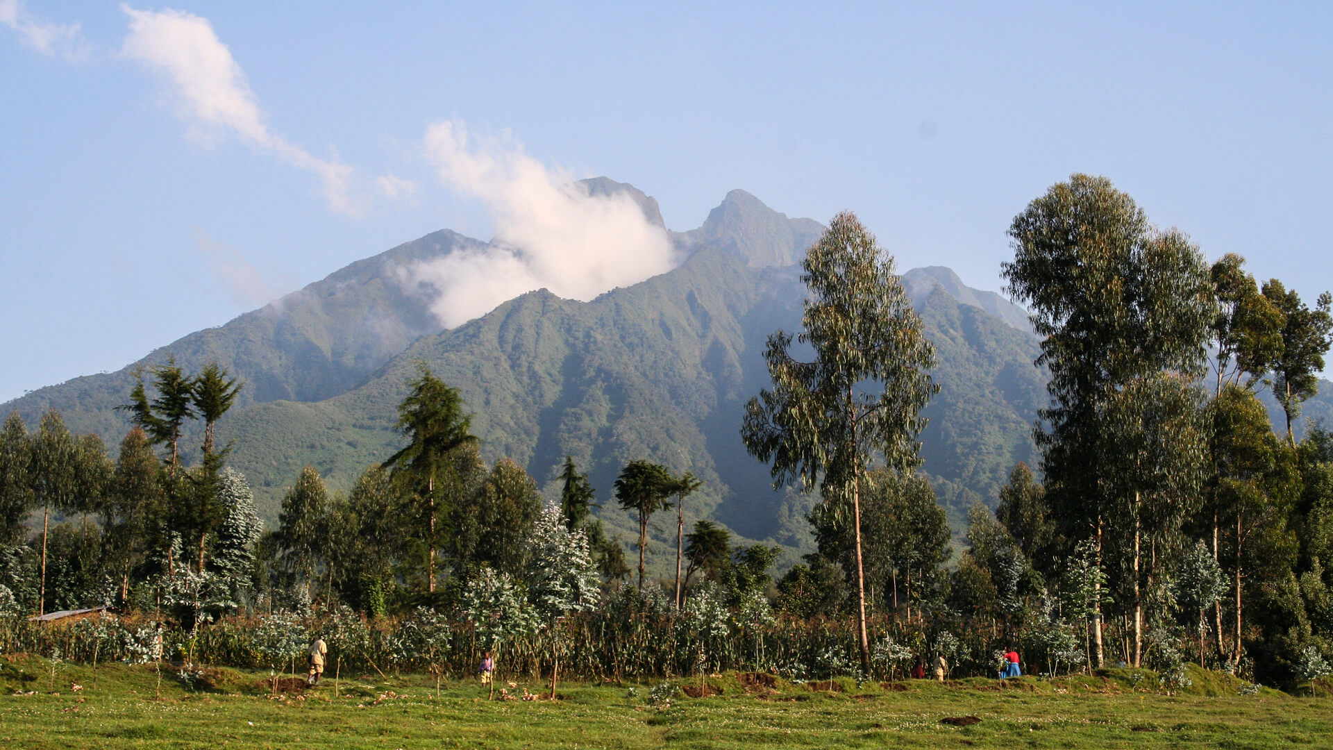 The Top Places to Visit in Rwanda | Asilia Africa