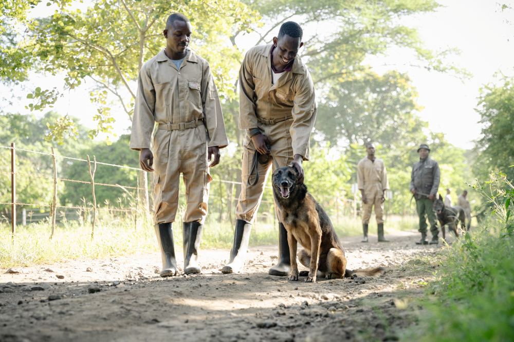 Giving Tuesday – A Spotlight on our Northern Tanzania Implementing ...