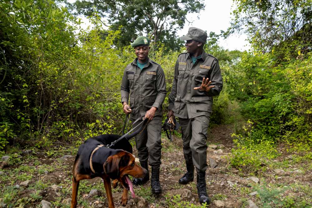 Giving Tuesday – A Spotlight on our Northern Tanzania Implementing ...